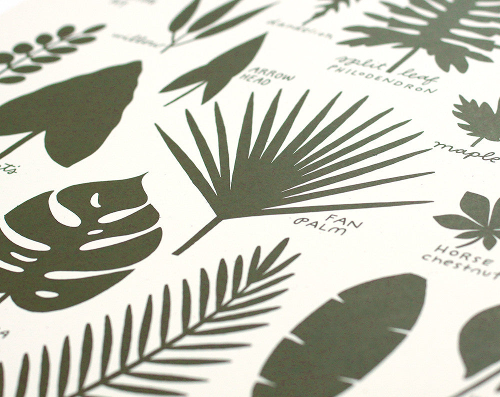 Leaf Studies 16x20 Screen Print – Worthwhile Paper